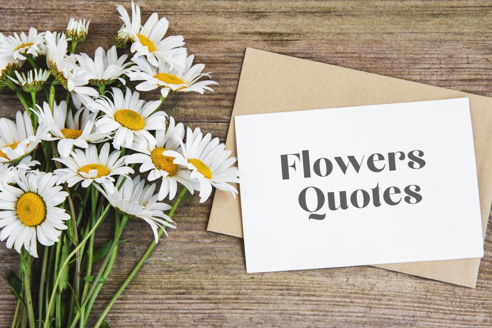 100+ Flower Quotes to Write on Greeting Cards in UAE (2025) – Sentiments.ae